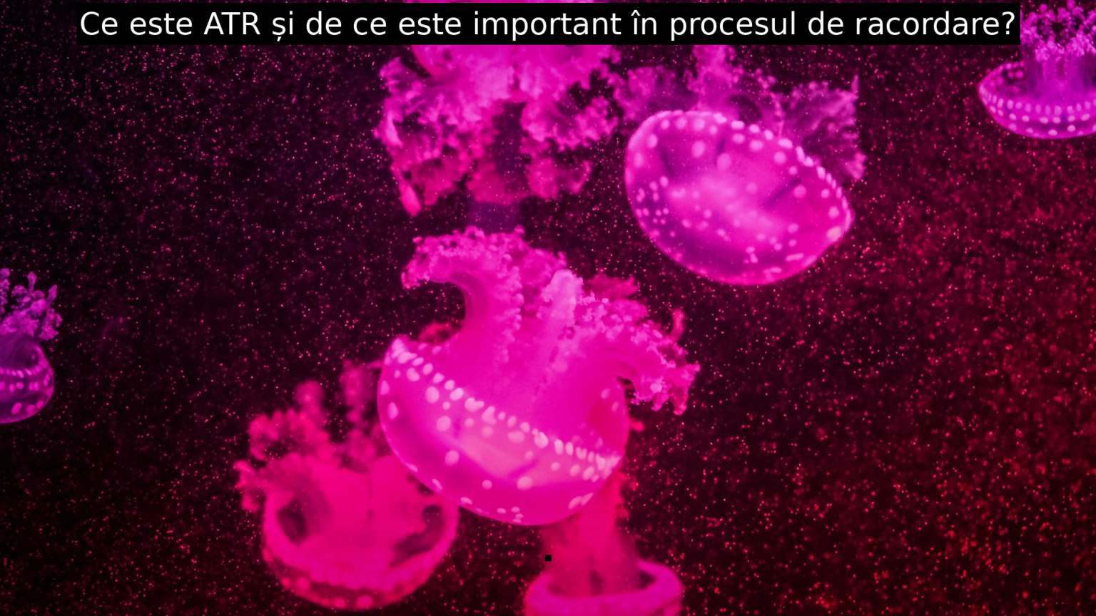 Ce este ATR și de ce este important în procesul de racordare? | Primarii de la A la Z